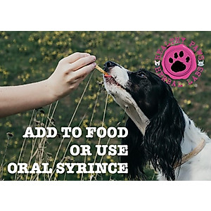 Eat- Appetite Stimulant and General Digestive Support for Dogs & Cats - 2 fl oz Food Topper