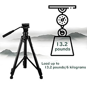 SVBONY SV503 Telescope, 80ED F7 Telescope OTA, 2 inches Dual Speed Focuser, Bundle with SA402 Tripod 1/4 inches Quick Shoe Plate, for Astrophotography