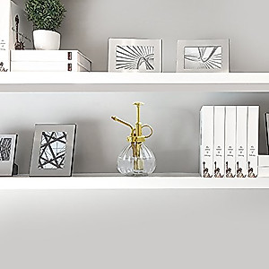 Plant Mister, 6.5" Tall Decorative Glass Water Spray Bottle with Gold Top Pump Small Watering Can by Ebristar - Clear