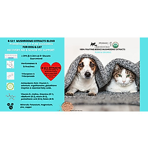 OPTIMIZED RECOVERY Lion's Mane & Cordyceps >25% & >35% β-glucans 100% Mushrooms Fruiting bodies Extracts Blend for Dogs & Cats. Recovery Aid, Healing & Senior Pet Health Formula. 250 SERVINGS for 25lb