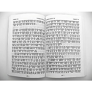 Pinyin New Testament Bible in Simplified Chinese. 拼音新约圣经 (简). 拼音新約聖經 (簡)