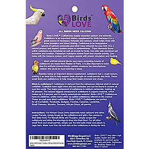Birds LOVE Natural Cuttlebone – Premium Calcium & Trace Mineral Supplement for Avian Species, Tortoises, and Snails – Pure Cuttlebone for Parakeets, Cockatiels and All Birds | 4-Pack - Size 3.5 to 4"