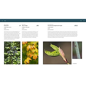 The Northeast Native Plant Primer: 235 Plants for an Earth-Friendly Garden