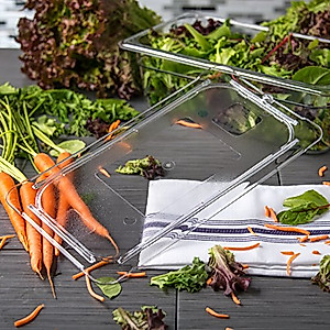 Carlisle FoodService Products 10276U07 Polycarbonate Universal Flat Lid, 12-3/4" Length x 7" Width x 7/16" Height, Clear, For TopNotch One-Third Size Food Pans (Case of 6)