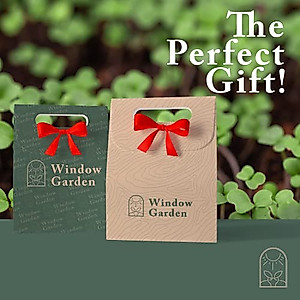 Window Garden Mammoth Sunflower Grow Kit - Giant Sunflower Planting Seeds Starter Pack - Germinate Seeds on Your Windowsill, Mini Greenhouse System - with 10 Fiber Soil Seed Starters