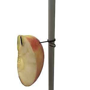 HAGz® Bait Holder - Dozen Pack