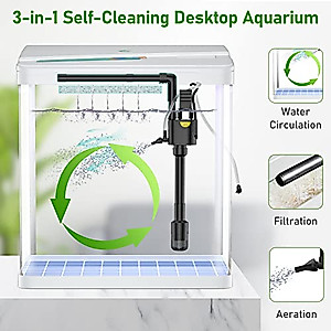 PONDON Betta Fish Tank, 3 Gallon Glass Aquarium, 3 in 1 Fish Tank with Filter and Light, Desktop Small Fish Tank for Betta Fish, Guppies, Goldfish