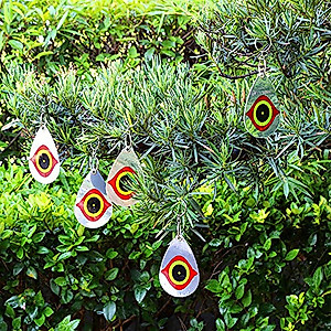 cainda Horrible Predator Eye to Scare Birds Away, Birds Deterrent Hanging Devices, Keep Birds Away from Your Barns Garden Windows Warehouse (5 Pack)