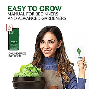 Seedra.US 4 Spinach Seeds Variety Pack - 305+ Non GMO, Heirloom Seeds for Indoor Outdoor Hydroponic Home Garden - Bloomsdale, New Zealand, Space, Virofly