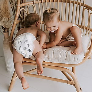 Parasol Clear+Dry Natural Training Diaper Pants, Pure Ingredients, Water Based Ink, Non-Woven Fabric with Dermatest Excellent Seal, Rash Protection, Size 5 (26+ lbs), 48 Count