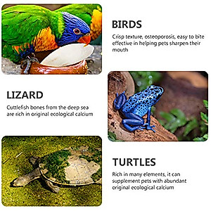 TEHAUX Bird Cuttlebone for Parakeets, Natural Cuddle Bone, Chewing Cuttlefish Bone for Sharp Beaks, Natural Birds Calcium Suitable for Parrot Cockatiels Budgie Conures