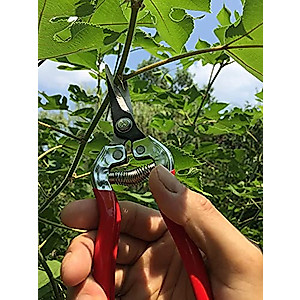 gonicc Professional Micro-Tip Pruning Snip (GPPS-1008), Small Garden Hand Pruner & shears For Arranging Flowers, Trimming Plants & Hydroponic Herbs, And Harvesting Fruits & Vegetables.