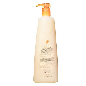 Kirkland Signature Professional Salon Formula Bundle - Shampoo (33.8 fl oz), Conditioner (33.8 fl oz), and 2 Body Washes (27 fl oz each)