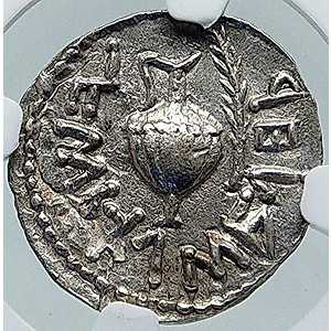 1 IT BAR KOKHBA Authentic Ancient Jewish War vs Romans Denomination_in_description AU NGC