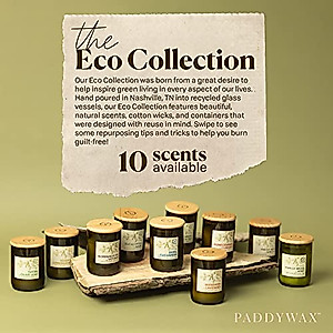 Paddywax Eco Collection Scented Soy Wax Jar Candle, 8-Ounce, Bordeaux Fig & Vetiver