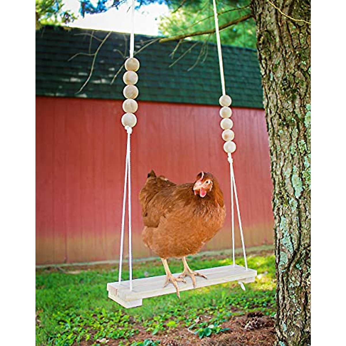 Chicken Swing Toy for Coop Handmade in USA!!! Natural Safe Wooden Accessories Large Durable Perch Ladder for Poultry Run Rooster Hens Chicks Pet Parrots Macaw Entertainment Stress Relief for Birds