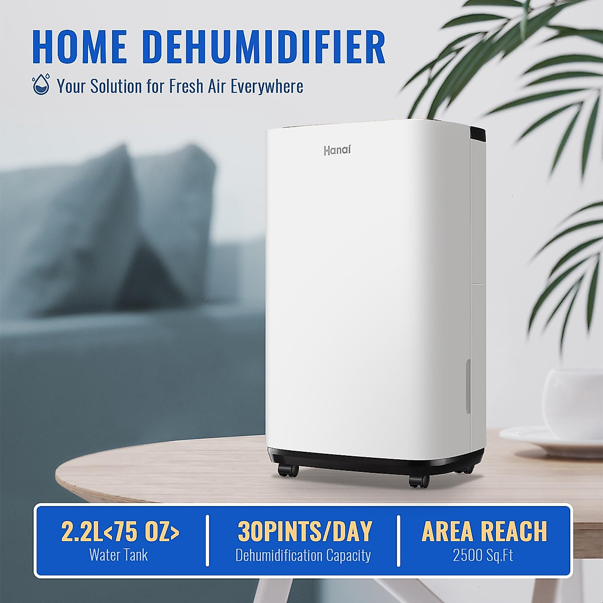 WANAI 30 Pints Dehumidifier for Basements with Drain Hose, 2500 Sq.Ft Dehumidifiers Auto Drain or Manual Drainage, Small Dehumidifier for Home Bedroom Bathroom with 2.2L Water Tank, 3 Modes, 24Timer