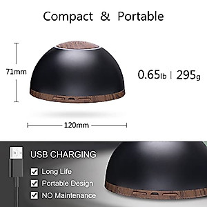 Refrigerator Deodorizer, Perfect for Home, Cars, Office, Tent, Pet Room