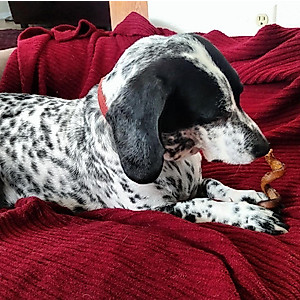 Pawstruck All-Natural 6" Bully Stick Springs for Dogs - Fun Challenging Rawhide Free 100% Beef Single Ingredient Chew Treat Bones - Fully Digestible Low Odor - 10 Pack - Packaging May Vary