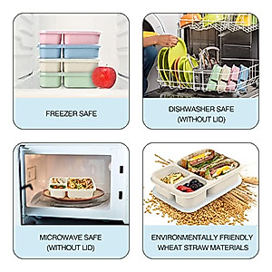 6 Pack Lunch Containers for Kids, 3 Compartment Bento Lunch Box, Reusable Food Storage Bento Box Meal Prep Containers for School, Work and Travel with Forks and Spoons