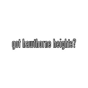 MAGNET Got Hawthorne Heights? Magnetic Vinyl Car Fridge Sticks to any Metal Surface 5"