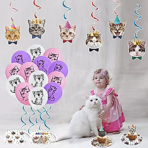 137PCS Cat Birthday Party Supplies Serves 20 Guests Kitten Birthday Party Decorations Cat Party Plates Banner Napkins Balloons Tablecloth Cake Toppers for Cat Themed Birthday Party Supplies