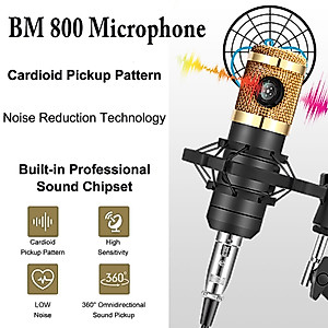 Podcast Equipment Bundle, Audio Interface with Voice Changer and BM800 Condenser Microphone, Recording Studio Package Perfect for Recording, Broadcasting, Live Streaming, YouTube, TikTok (BM800-V8B)