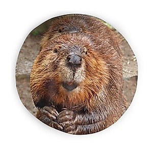 Cute Funny Beaver Unisex Bucket Hat Summer Travel Beach Sun Hats Outdoor Cap