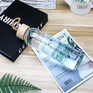 Encheng 16oz Glass Bottle with Lid,Glass Beverage Bottles with Bamboo Lids Set of 8,Reusable Drinking Bottles with Leak proof Cap 500ml,Glass Bottles for Juicing,to Go Travel Bottles for Drink,Sauce