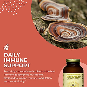 HEALTHFORCE SUPERFOODS MycoForce - Powder - 75 Grams