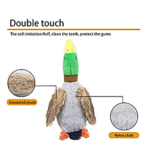 LNPAVET Dog Squeak Toy with crepe paper noise and generator, 2 dog and duck toys, durable chew toy, dog teething pet Toy, dog pet toy, for dog play and training