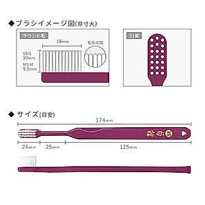 艶白 Soft Compact Toothbrush for Adults & Teenagers, Slim Head End Rounded BPA Free Bristles, Made in Japan, Pack of 4, Assorted