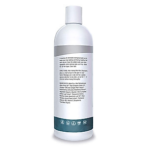 Organic Excellence Wild Mint Conditioner, 16 Fluid Ounce