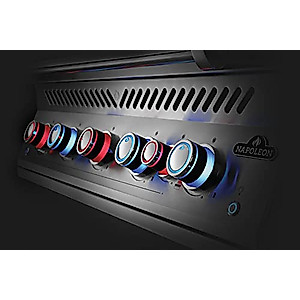 Napoleon BIG32RBNSS Built-in 700 Series BBQ Natural Gas Grill Head 32 Inches, Stainless Steel