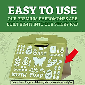 Pantry Moth Traps 6 Pack | Child and Pet Safe | No Insecticides | Premium Attractant