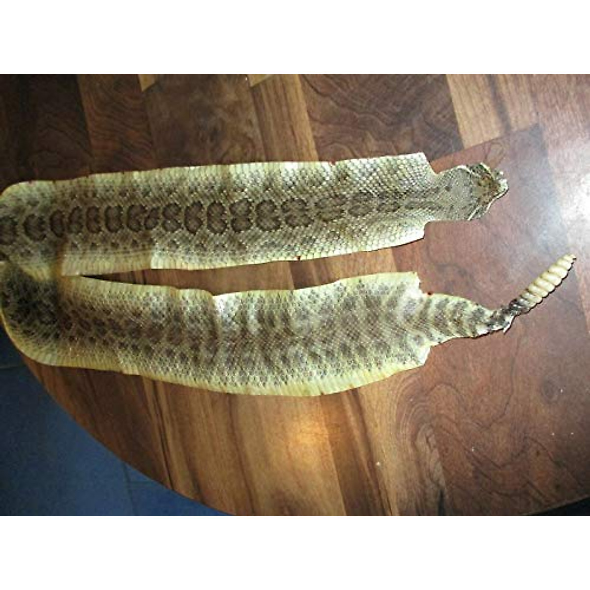 Rattlesnake Skin Prairie Rattler Hide Dry Tanned Bow Wrap Pen Blanks 44"
