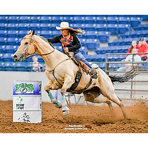 MagnaGard - Gastric Support Supplement for Horses | Relieves Ulcers, Calming Supplement, Magnesium & Other Vital Minerals | Powder, 20lb Bucket, 5-Month Supply | by Eagle Equine