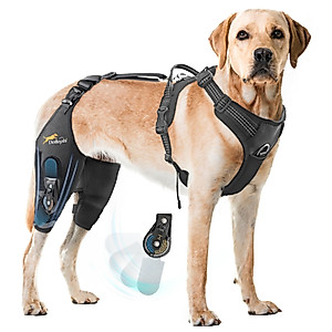 Dollephi Dog Knee Brace for torn acl hind leg with Adjustable Hinge Stabilizer, Dog leg brace Support for Cruciate Ligament Injury, Dog back brace for Osteoarthritis, Recovery After Surgery,et（L）