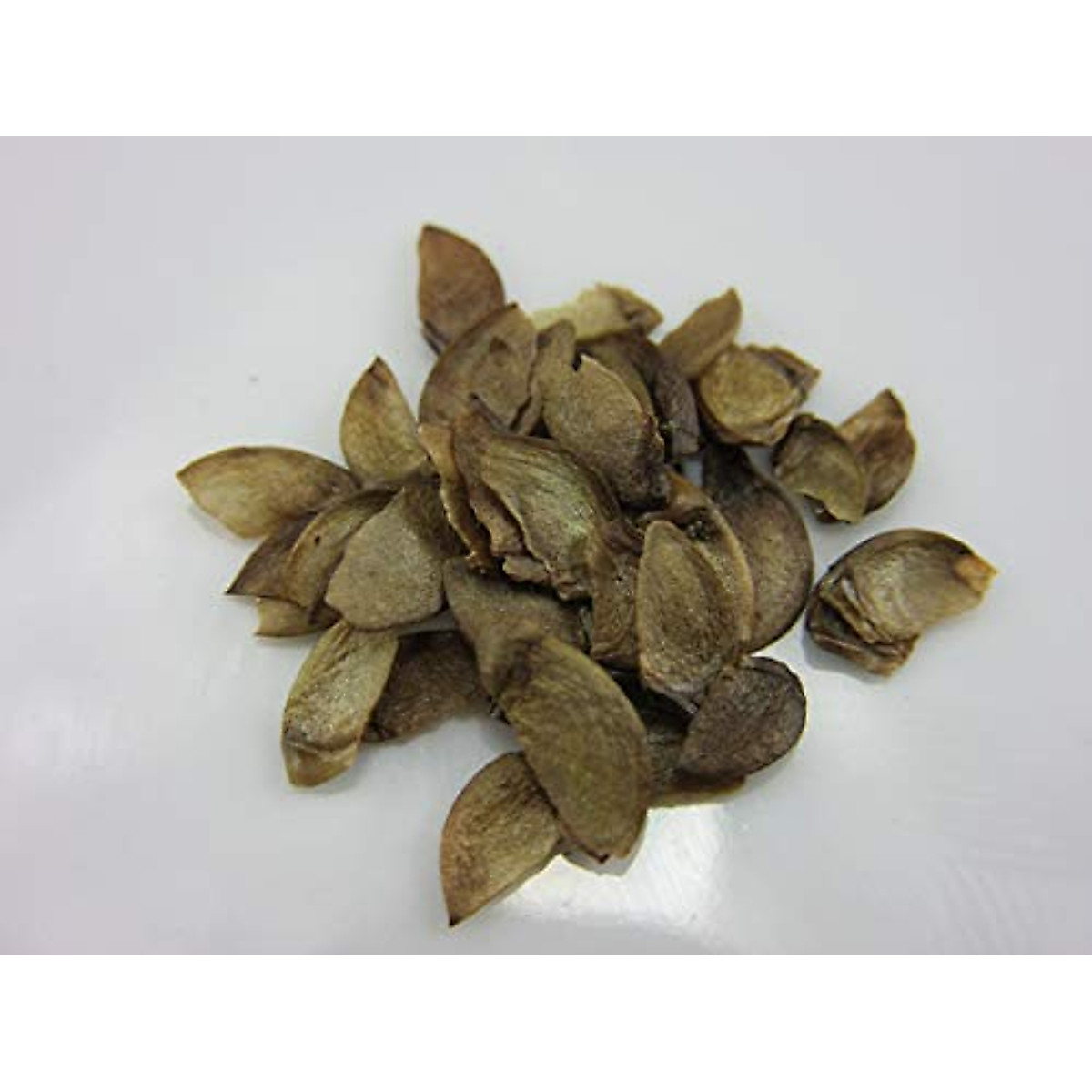 1195B-Dwarf Pink Crape Myrtle (Lagerstroemia Indica) Seeds by Robsrareandgiantseeds UPC0764425788461 Non-GMO,Organic,USA Grower,Bonsai,Showy, Butterfly Flower,1195-B Package of 10 Seeds