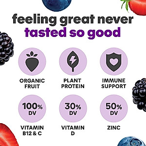 Noka Superfood Fruit Smoothie Pouches, Super Berry with Immune Support, Healthy Snacks with Elderberry, Flax Seed, Plant Protein, and Prebiotic Fiber, Gluten Free and Vegan, 4.22 oz, 12 Count