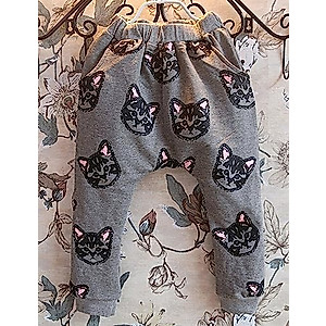 puseky Toddler Kids Girls Cute Cat Sweatshirt Tops & Pants Tracksuit Outfits Set (3T-4T, Grey)