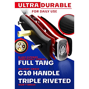 DALSTRONG Bull Nose Butcher Knife - 8 inch - Shogun Series ELITE - Japanese AUS-10V Super Steel - Vacuum Heat Treatment - Sheath Included - Meat, BBQ, Breaking Knife - Carving Knife - Heavy Duty