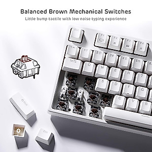 RK ROYAL KLUDGE Sink87G Wired/Wireless TKL Mechanical Gaming Keyboard, No Numbpad Compact 2.4G RGB Wireless Keyboard (White)