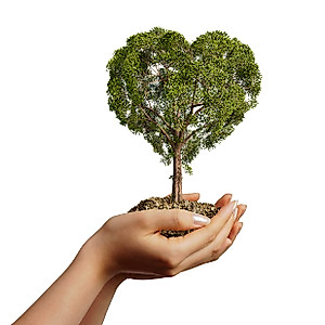 Ladybug Soap Company 5 Piece Set - Natural Travel Size Solid Perfume with Free Embroidered Cotton Bag - Phthalate Free - Rose Garden, Bee Balm, Violet Sandalwood, Gardenia, Tobacco White Santal