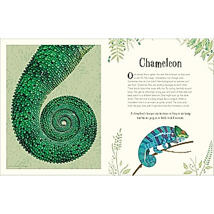 An Anthology of Intriguing Animals (DK Children's Anthologies)