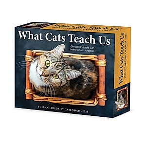 What Cats Teach Us 2023 Box Calendar