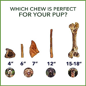 Pet Factory Real Chewz Piggy Bites Dog Chew Treats, 100% All-Natural - 16 oz
