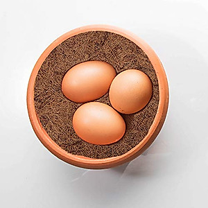 TEHAUX 12pcs Bird Nesting Pad Coconut Fiber Substrate Bird Nest Racing Mat Pigeon Breeding Eggs Materials for Finch Chicken Smalll Animals