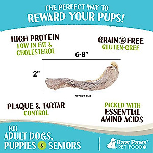 Raw Paws Freeze Dried Duck Necks for Dogs, 5-oz - All Natural Duck Dog Treats Made in USA Only - Human-Grade, Single Ingredient Duck Neck Dog Treat - Raw Freeze Dried Dog Treats