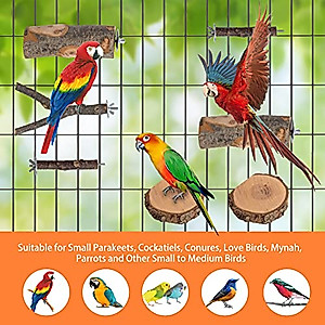 Bird Perches Parakeet Cage Accessories - Natural Wooden Parrot Stand Branch Budgie Bath Mirror Hammock Winter Warm Hanging Nest Hut Cockatiel Water Feeder Dispenser